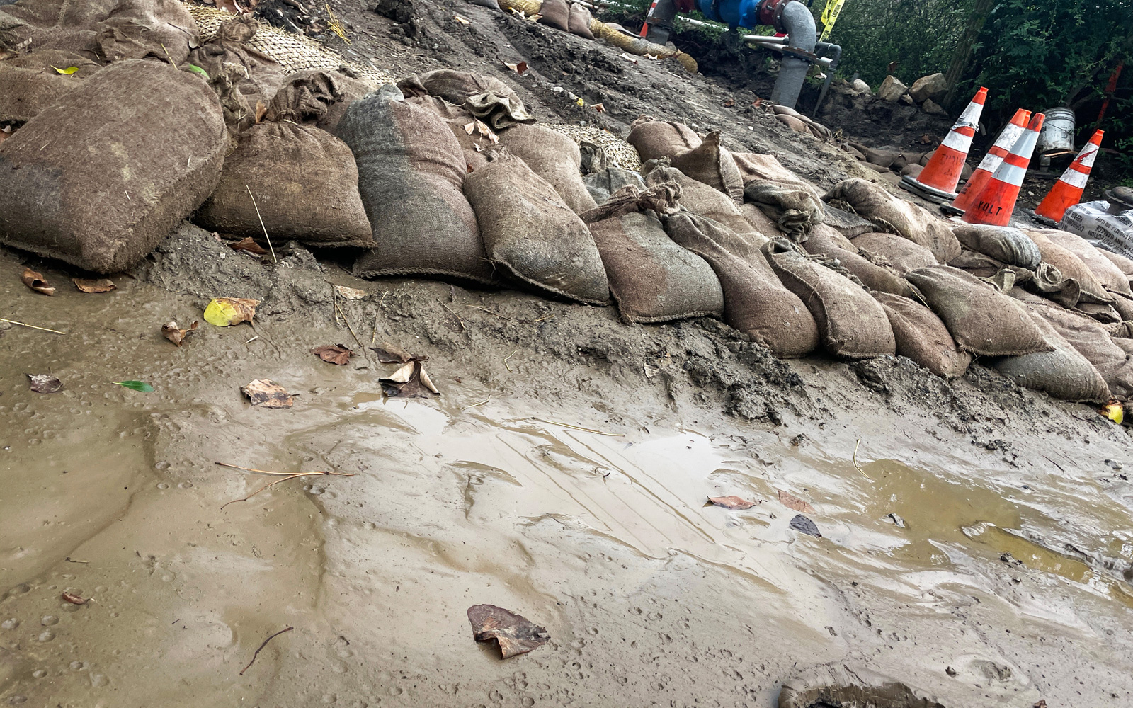 Storm Preparedness & Flood Resources | Water for LA